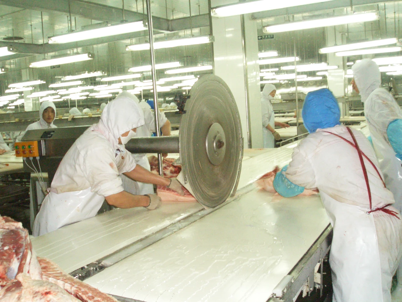 Industrial 304 Stainless Steel Carcass Splitting Circular Saw Precision ...