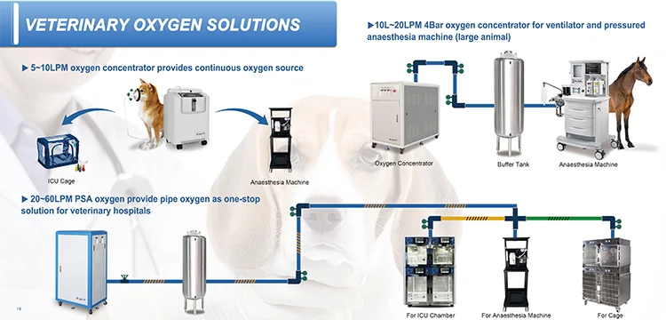 40l High-flow Oxygen Concentrator And Animal Hospital Central Oxygen ...