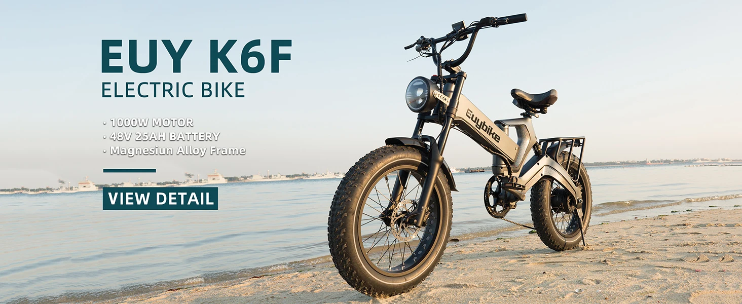K6F 20" Electric Bike - 1000W Magnesium Frame E-bike