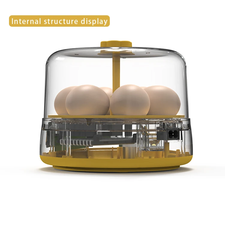 Hot Sale Dual Power Full Automatic Mini Incubator for Home Use 6 ...
