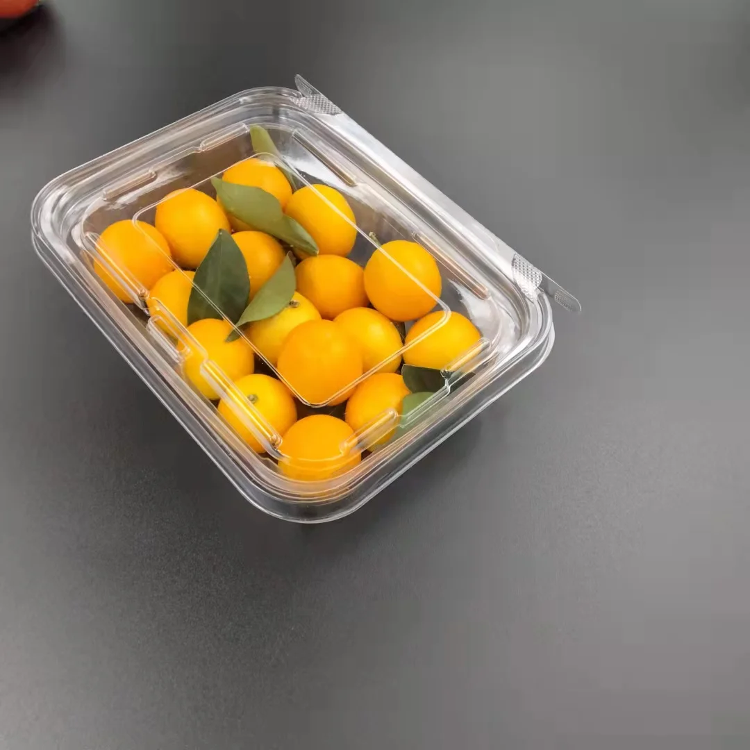 Transparent PET Plastic Box - Ideal for Biscuits & Candies