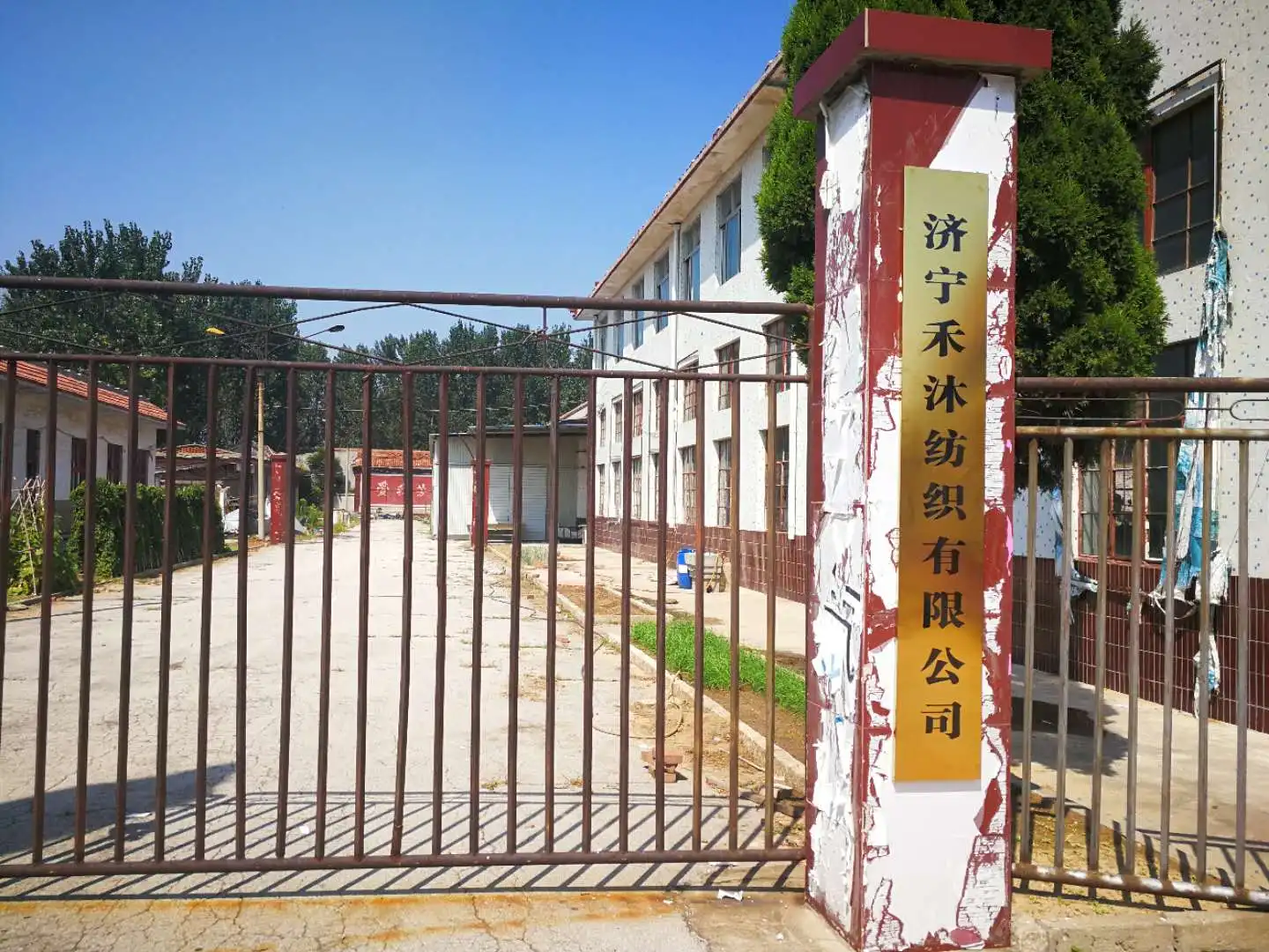 Hotelier Luxury 5 Star Hotel Pure White 100% Organic Cotton Jacquard ...