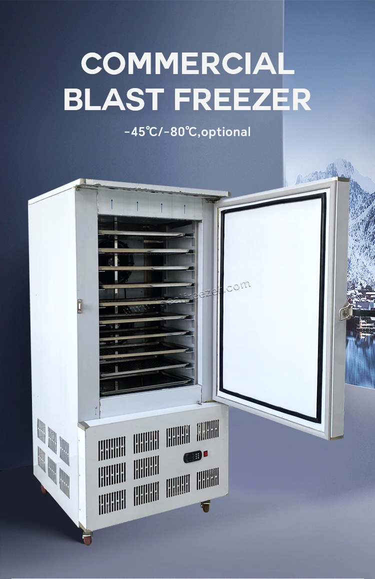 10 Plates Small Commercial Blast Chiller Flash Freezing Freezer Machine ...