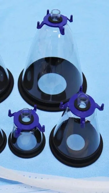 Pet Anesthesia Mask Dogs Cats Transparent Pvc Cone Veterinary Pet ...