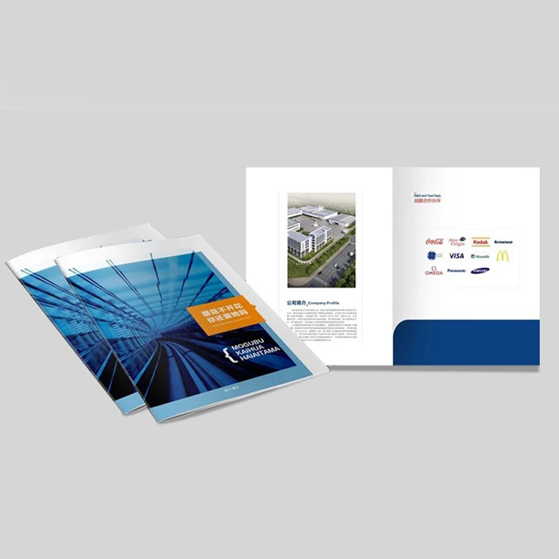 Custom Logo Folders - Professional Business Profiles