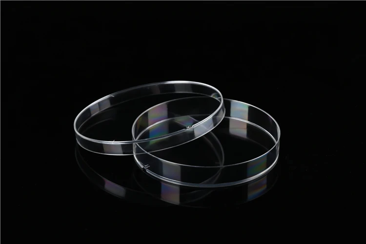 Erlenmeyer Shaker Flasks - Ideal for Cell Culture