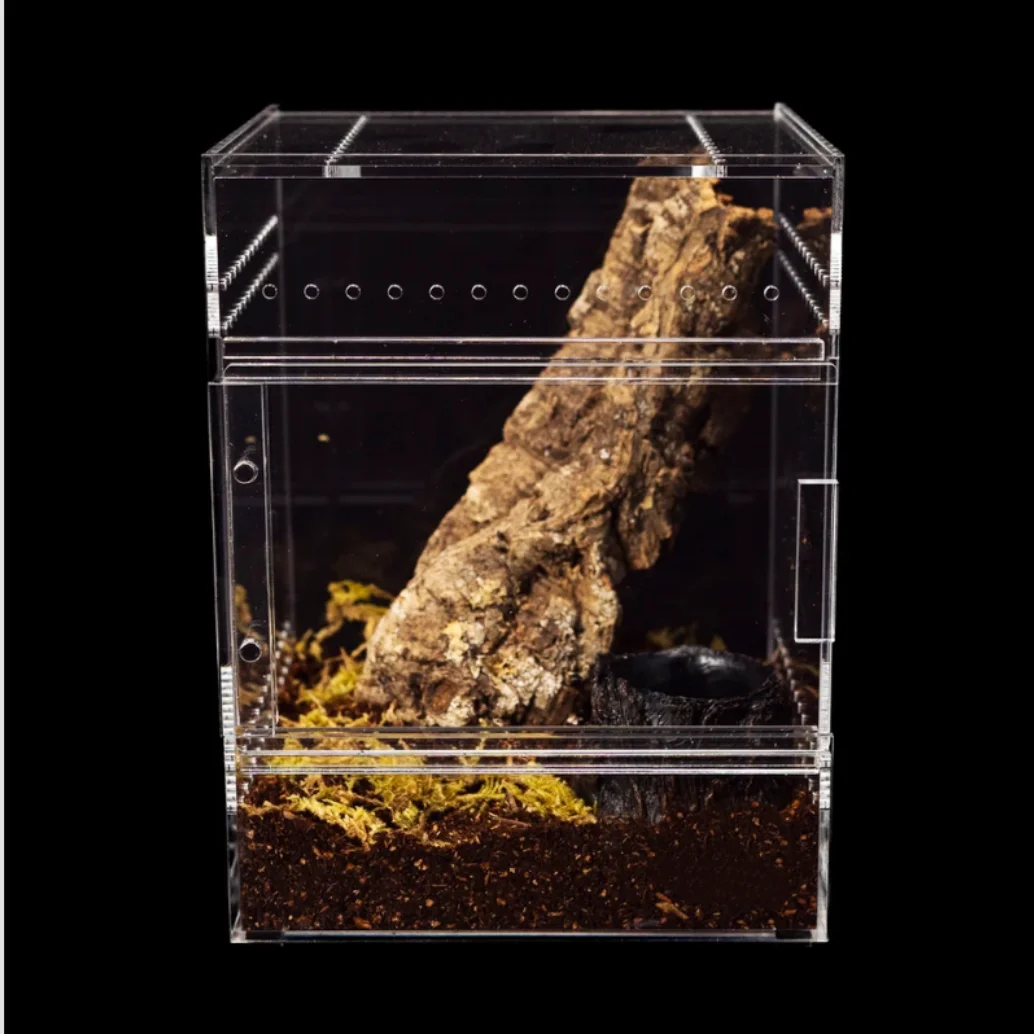 Acrylic Reptile Spiderling Enclosures Jumping Spider Enclosures For ...