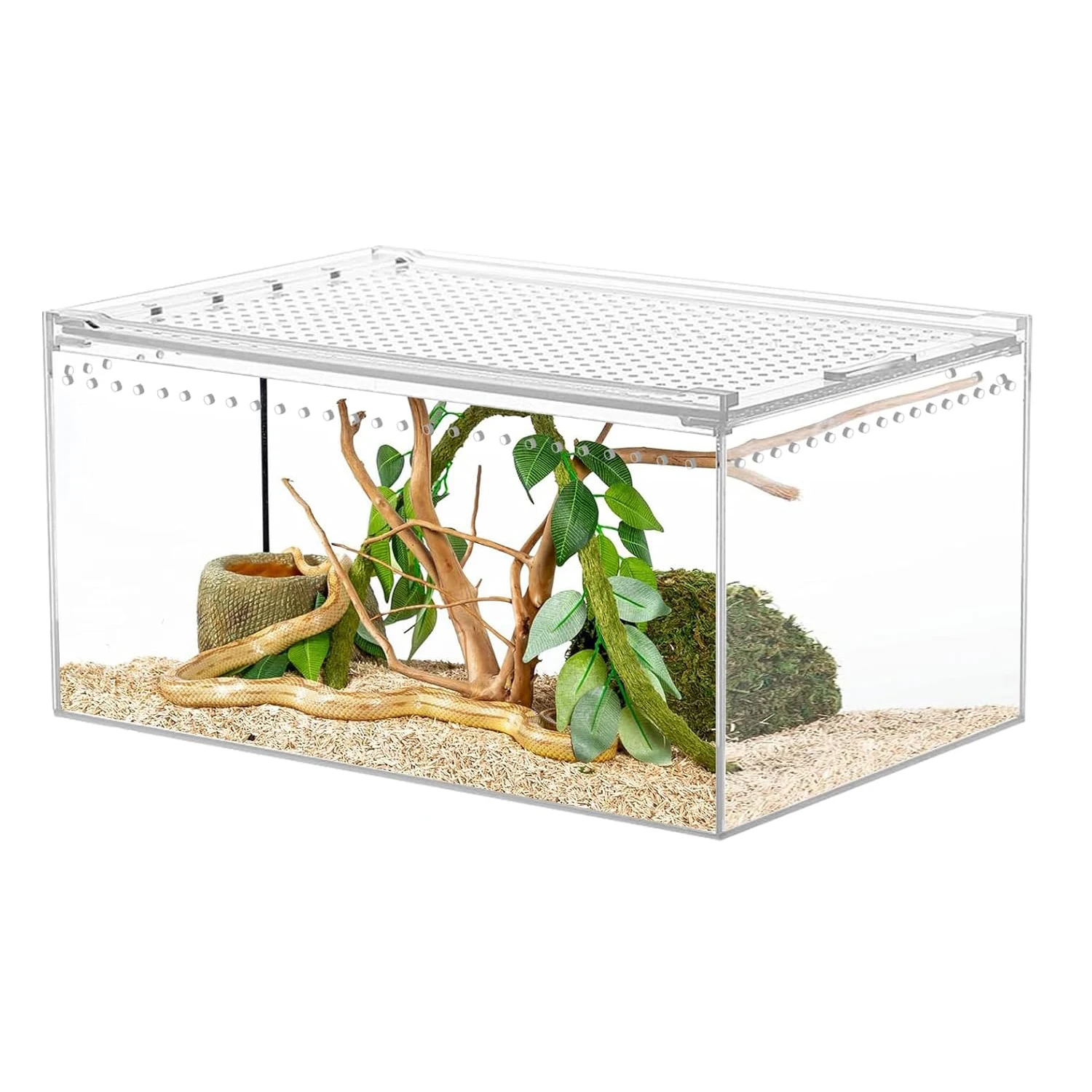Custom Reptile Tank Enclosure 5 Gallon Acrylic Reptile Show Display ...