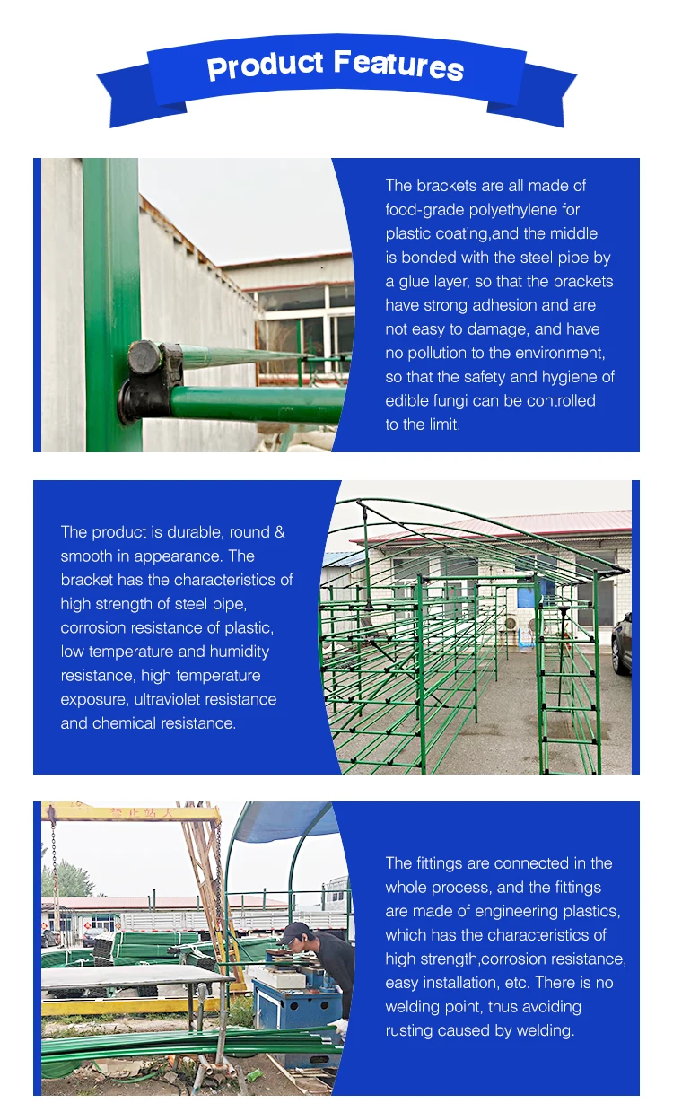 Adjustable King Oyster Mushroom Growing Shelves - Satrise