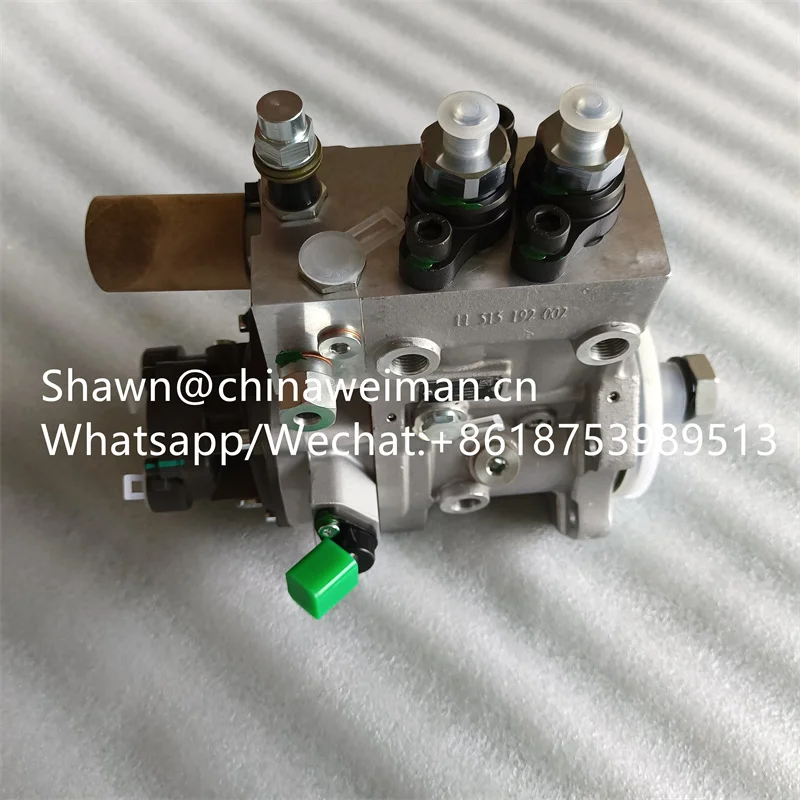 Diesel Engine Parts 1000161361 Fuel Injection Pump for Sale