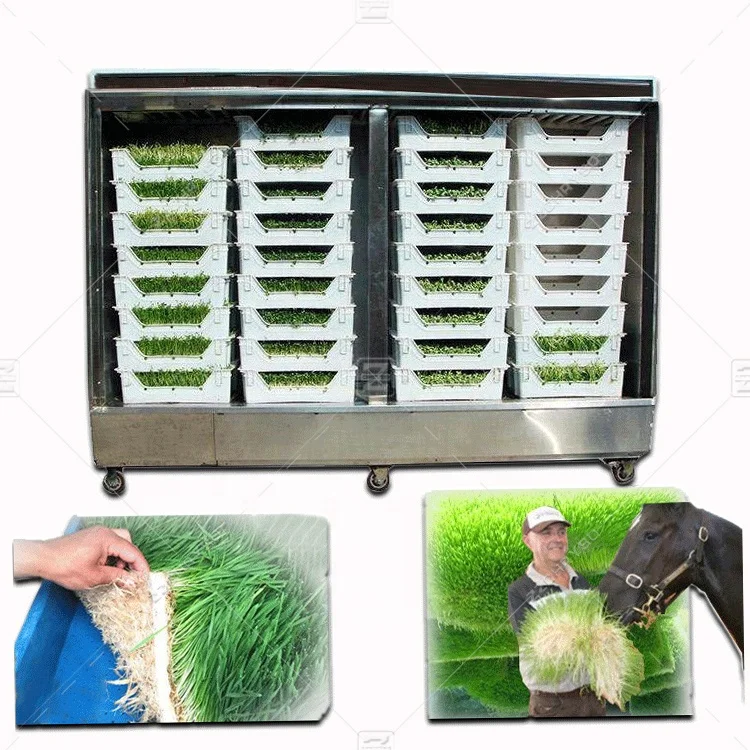 Automatic Barley Green Forage Fodder Grow Trays Hydroponic Fodder ...