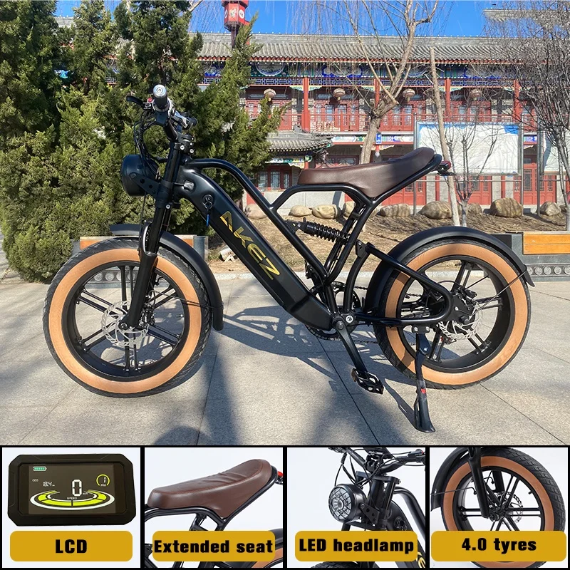Double Suspension Mountain Bike Wheeled 20 Inch Fat Tire Electric Bike ...