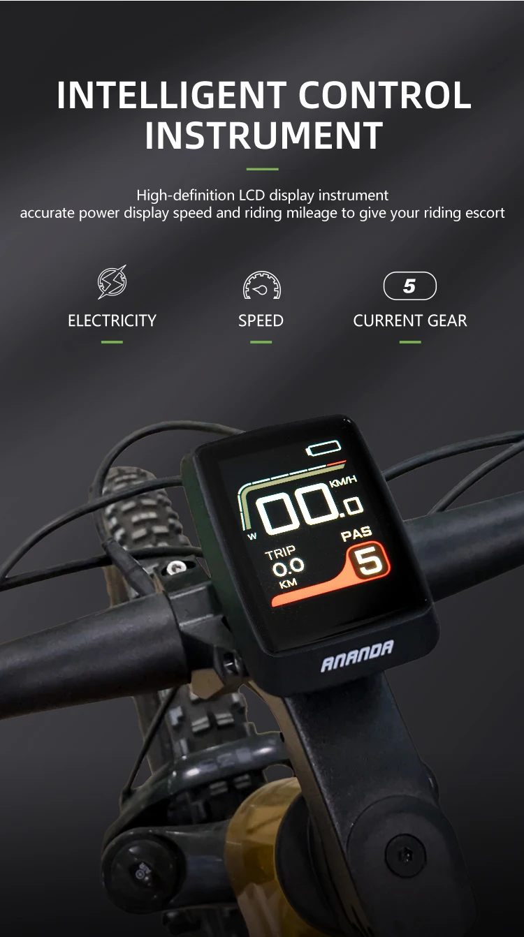 Galaxy 2024 New Ebike Alu Alloy Frame M600 Bicycle Mtb 29er 500w ...