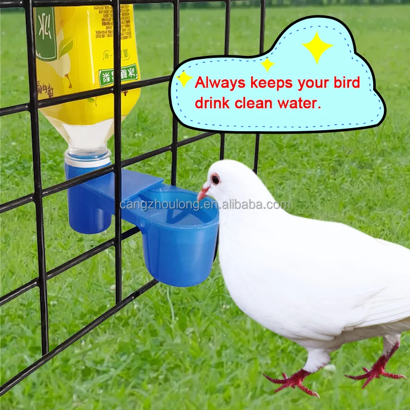 YYB-LMB-10 Dove Birds Plastic Drinker Bowl Cup Water Parrot Pigeons ...