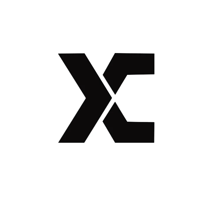 Company Overview - Shenzhen Xinxin Chen Technology Co., Ltd.