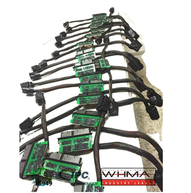 Ecu Wire Harness For Bosch Ecu Wiring Harness - Buy Ecu Wire Harness ...