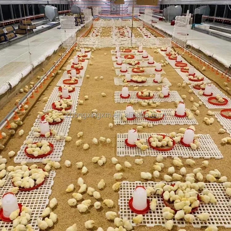 200x75cm Plastic Slat Floor for Chicken Cages - High Quality