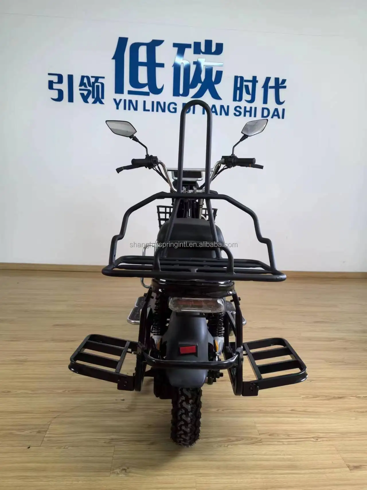 250kg Electric Loading Bike Electric Cargo Bike Family Reasonable Price ...