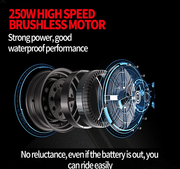 FRIKE Electric Bike - High-Quality 36V8A250W E-Mountain Bike