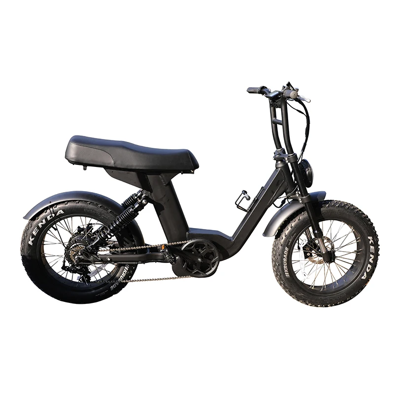 20ah hidden battery fatbike long saddle electric dirt bike electric ...