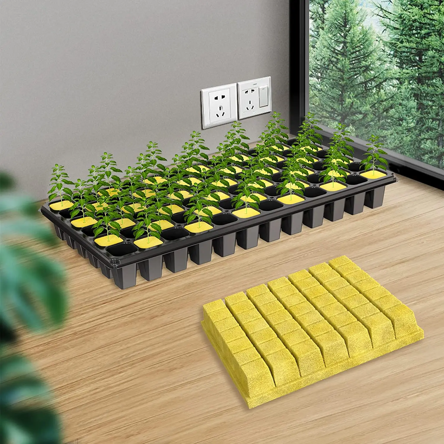 Wool Planting Cubes Droponic Nutrients Garden Growing System Hydroponic ... Wool Planting Cubes Droponic Nutrients Garden Growing System Hydroponic ...