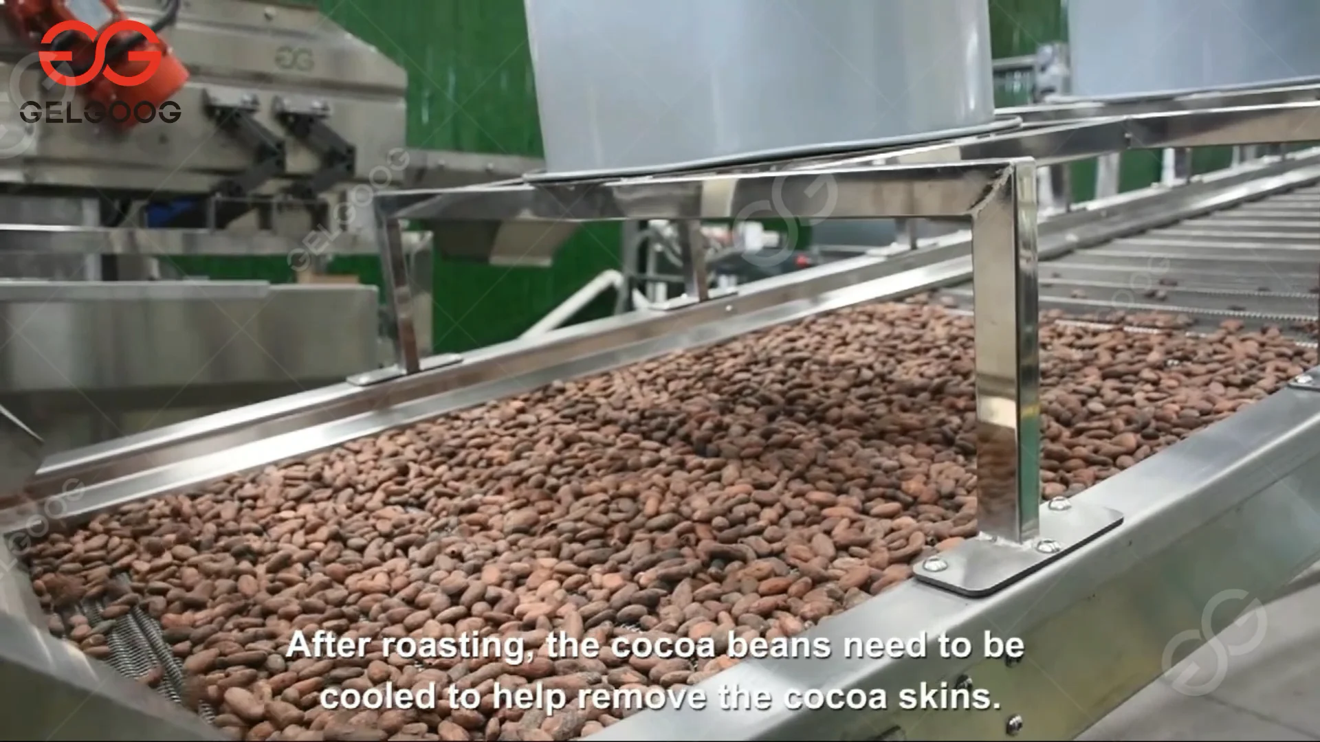 Gelgoog Cocoa Beans Processing Equipment Cocoa Liquor Grinding Machines To Make Paste - Buy ...