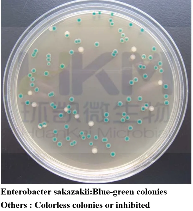 Chromogenic Enterobacter Sakazakii Agar for Milk Testing