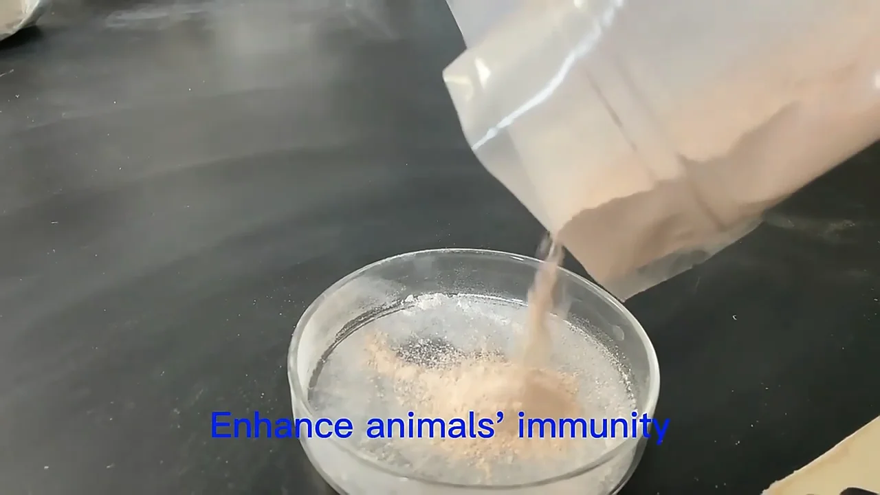 Biofloc Fish Farming Probiotic Bacterial Bacillus-subtilis Agriculture ...