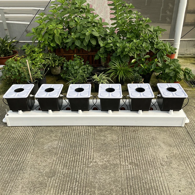 Wholesale Dutch Bucket Growing Bucket Irrigation System Dutch Bucket ...