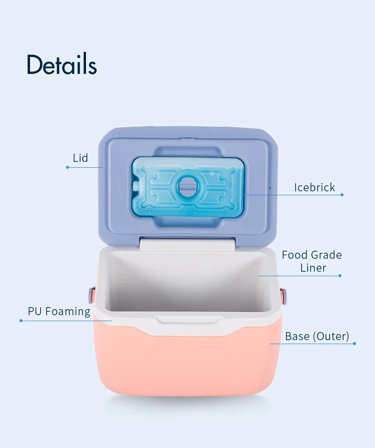 5.5l Cooler Commercial Ice Box Car Refrigerators Camping Cooler Box ...