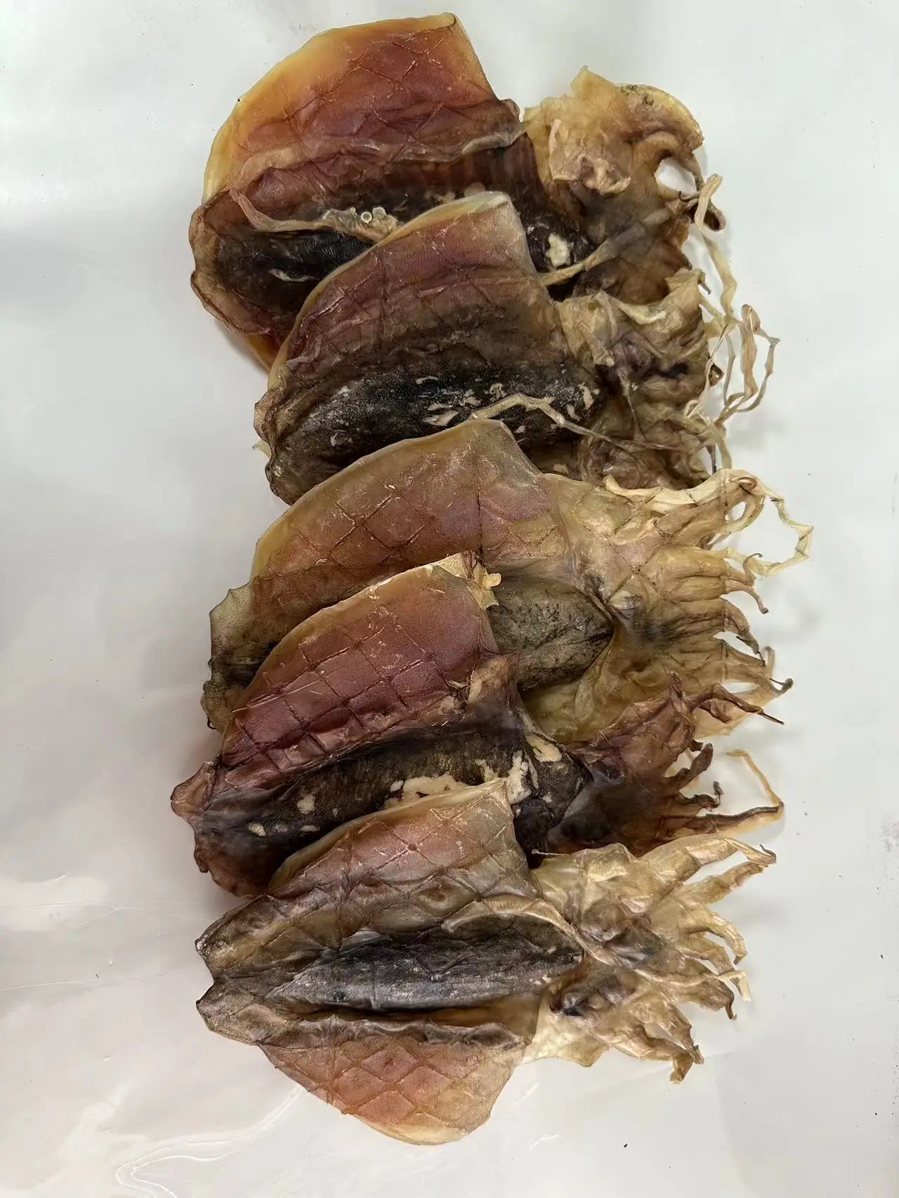 With or Without Cuttleone Dried Cuttle Fish Sale or Without Salt Dried ...