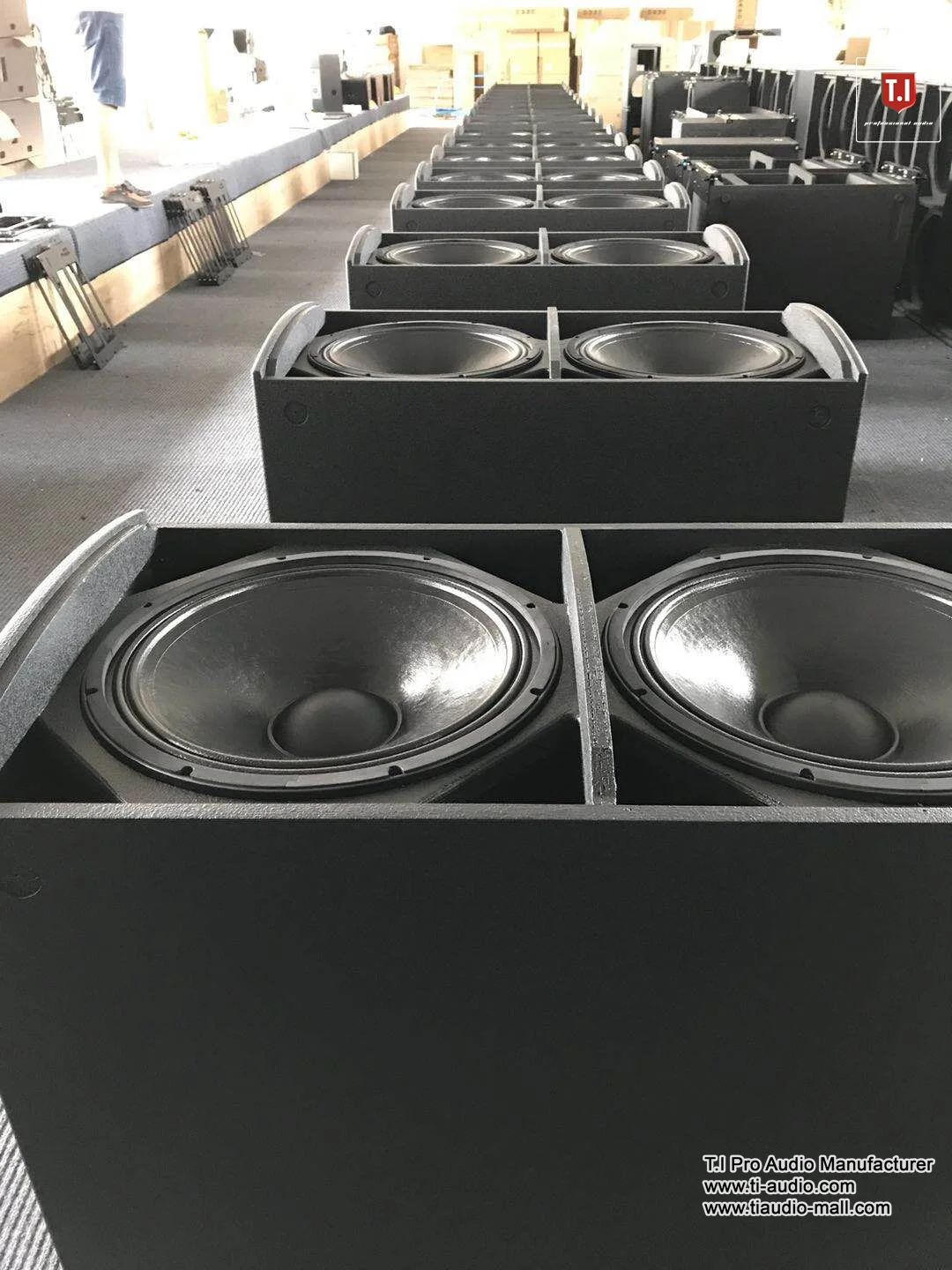 T.I Pro Audio LA112 - Outdoor Passive 2 Way Line Array Speaker