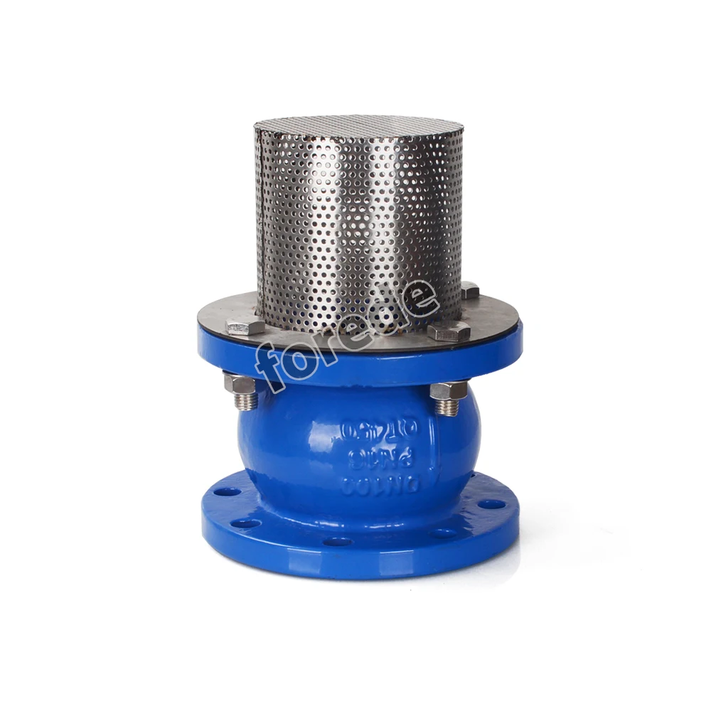 Forede 6 Inch Ductile Iron Flange End Foot Valve For Water System - Buy ...