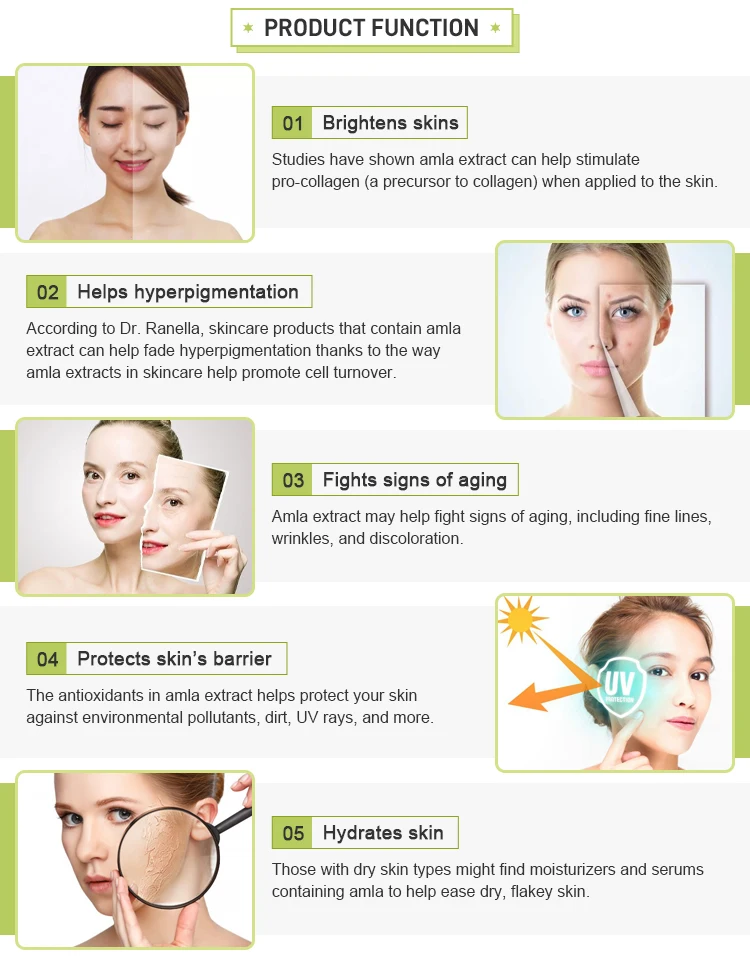 Amla Extract Indian Gooseberry Phyllanthus Emblica Extract Amla Fruit ...