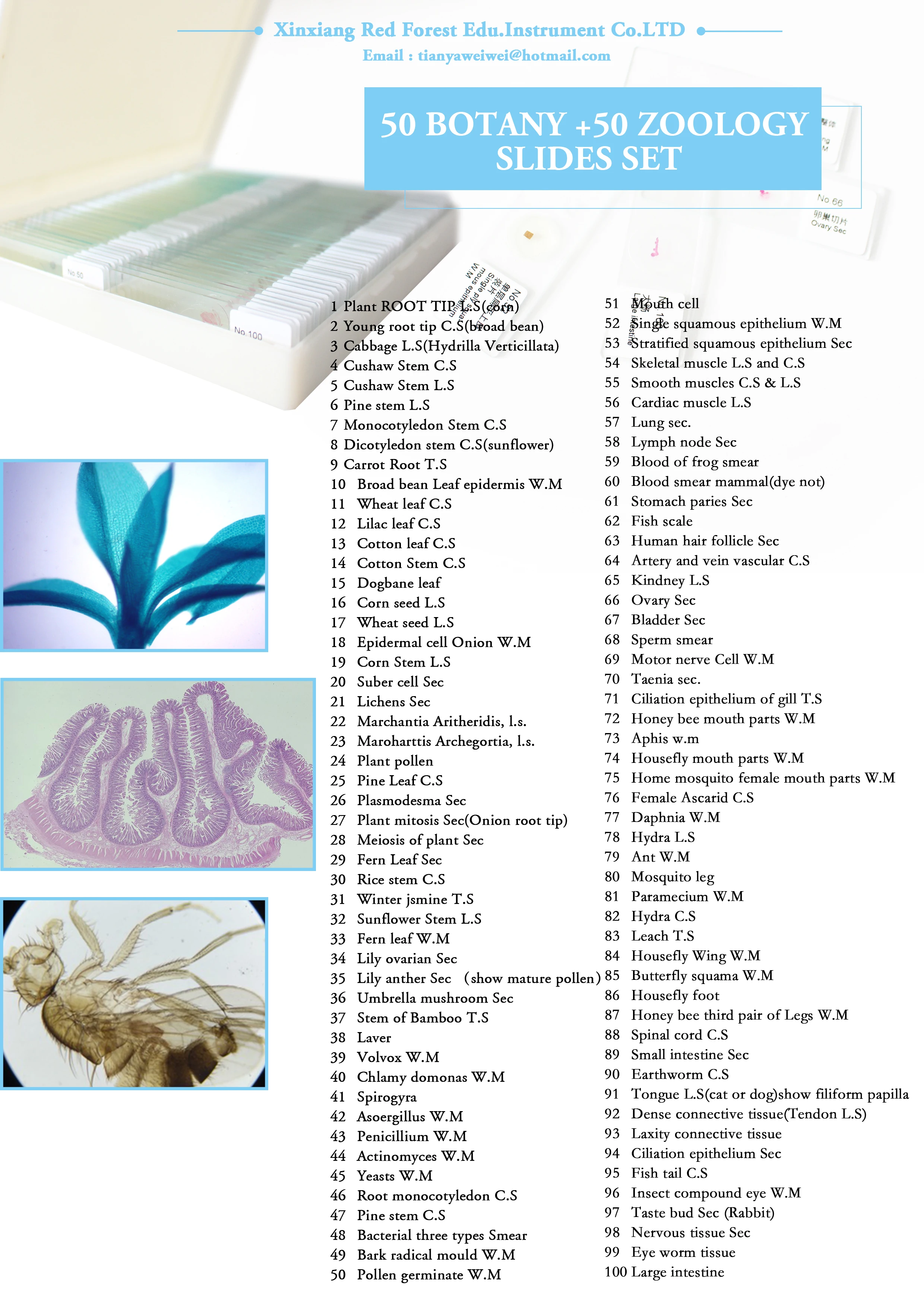 Botany+animals Prepared Slides - Educational Microscope Sets