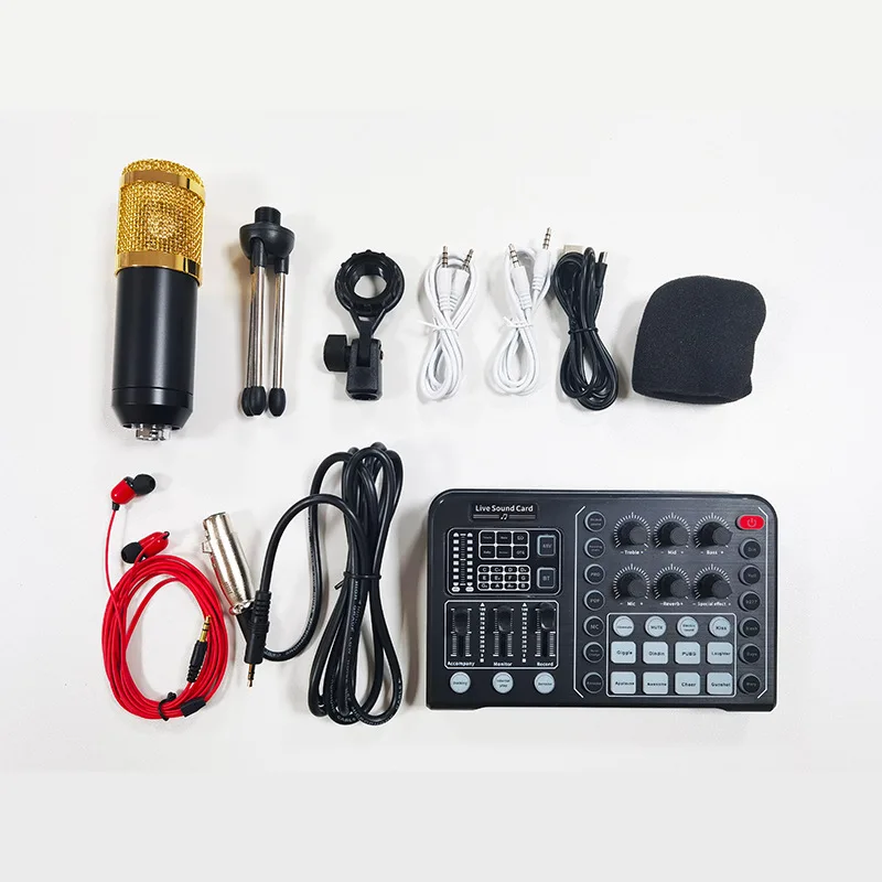 M6 Sound Card With Bm800 Set Of English Tuner Support Foreign Trade ...