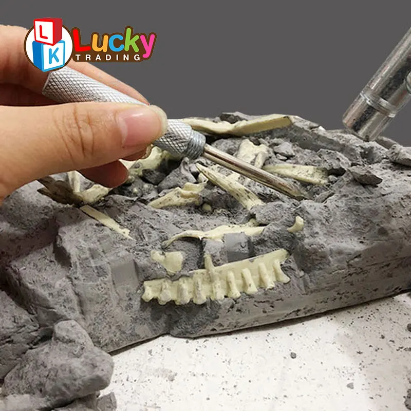 Toy Dig Kit Blind Box Natural Fossil Ore Stone Specimen Children's ...