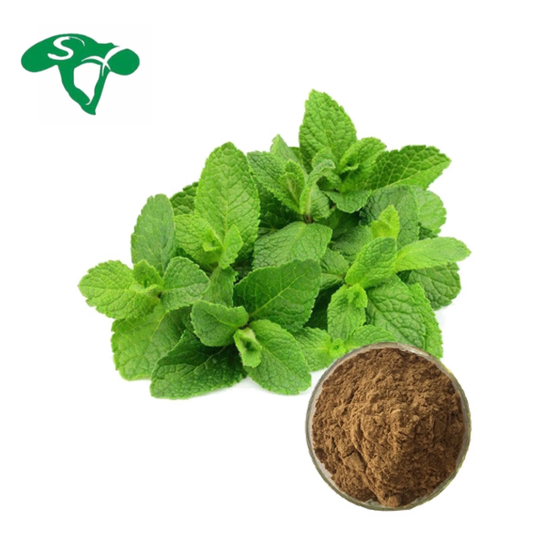 Peppermint Leaf Capsules