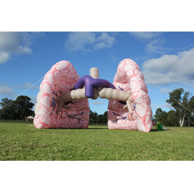 Realistic Inflatable Lungs - Educational Display Balloons