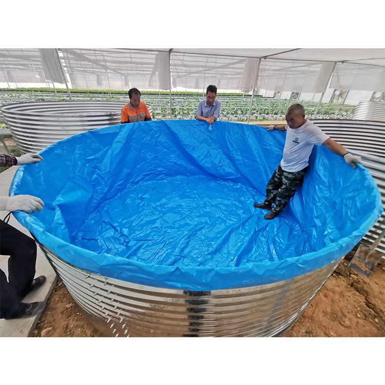 Indoor Ras Shrimp Farming Equipment - IGREEN IGRAS System