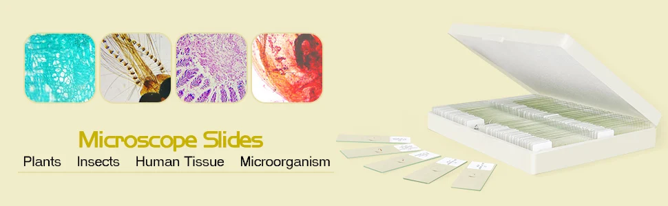 Biological Microscopes Slides Middle School Student Gift Teaching ...
