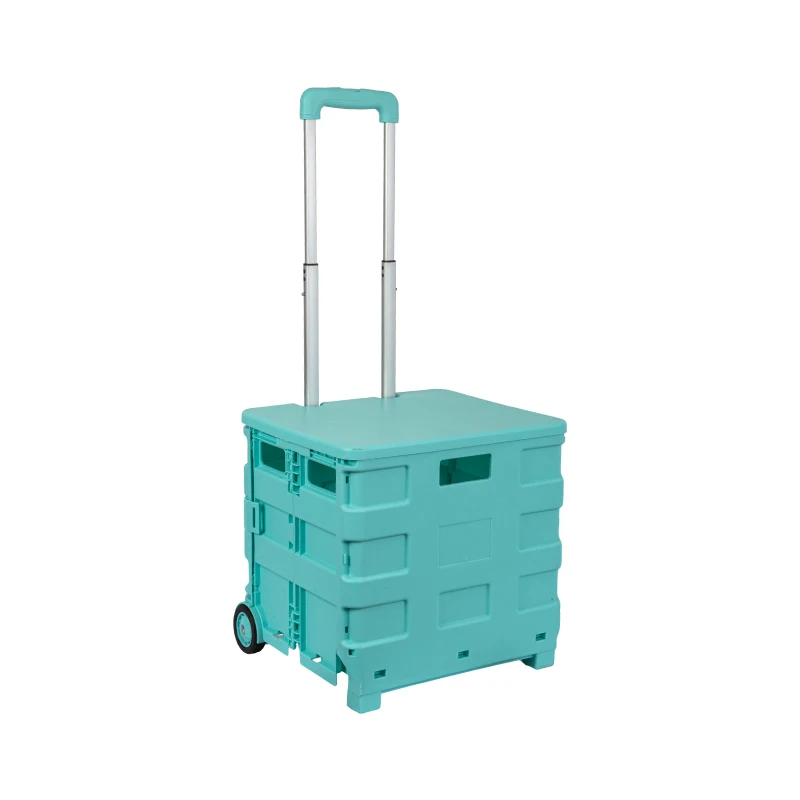 Personal Supermarket Using Plastic Foldable Shopping Hand Trolleys ...