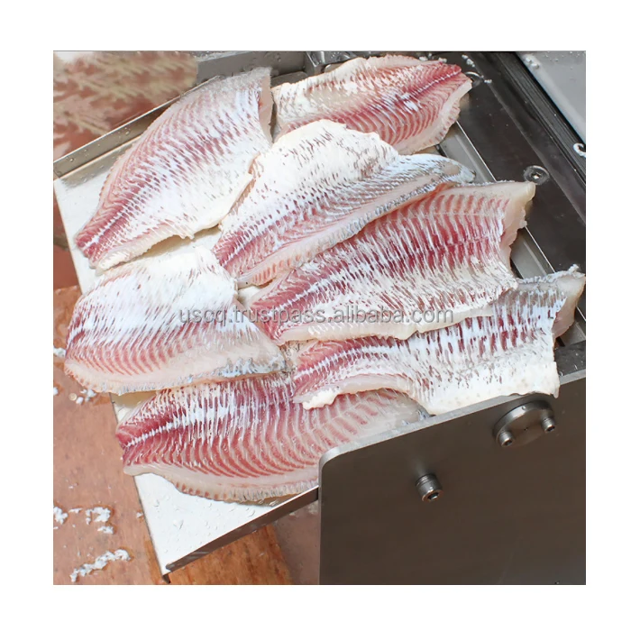 Shrimp Prawn Shelling Machine Pangasius Fish Skin Peeling Machine ...