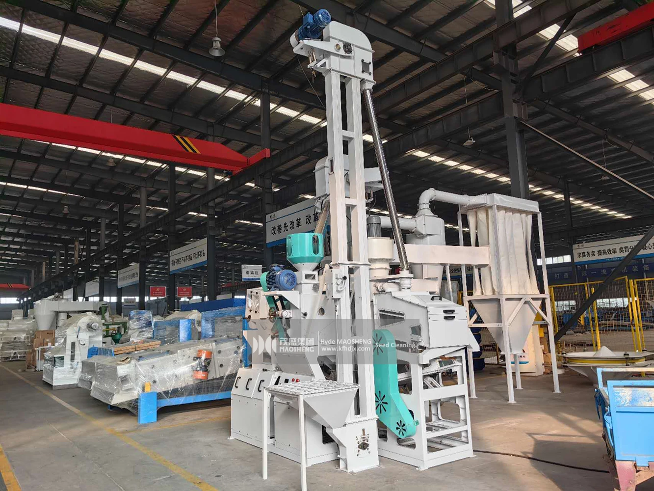 Rice Milling Machine - Complete Paddy Processing Solution
