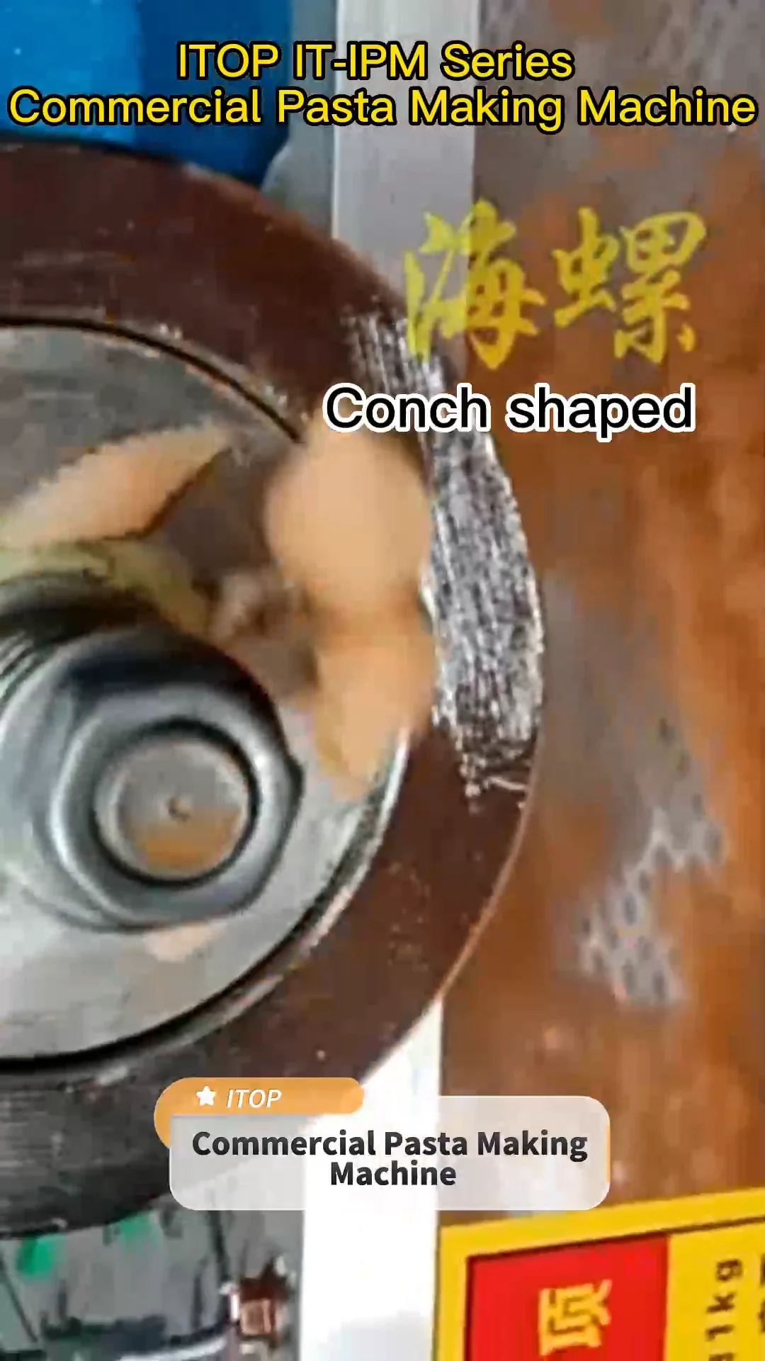 Italy Macaroni Pasta Extruder Production Line Automatic Electric ...