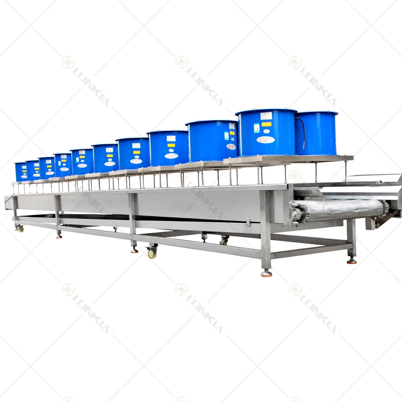 Full Automatic Vegetable Fruit Sorting & Processing Line