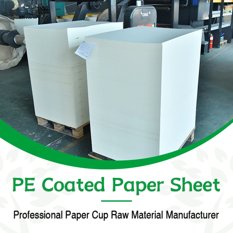 Customized Size Biodegradable Cardboard C1S SBS FBB Ivory Board PE ...
