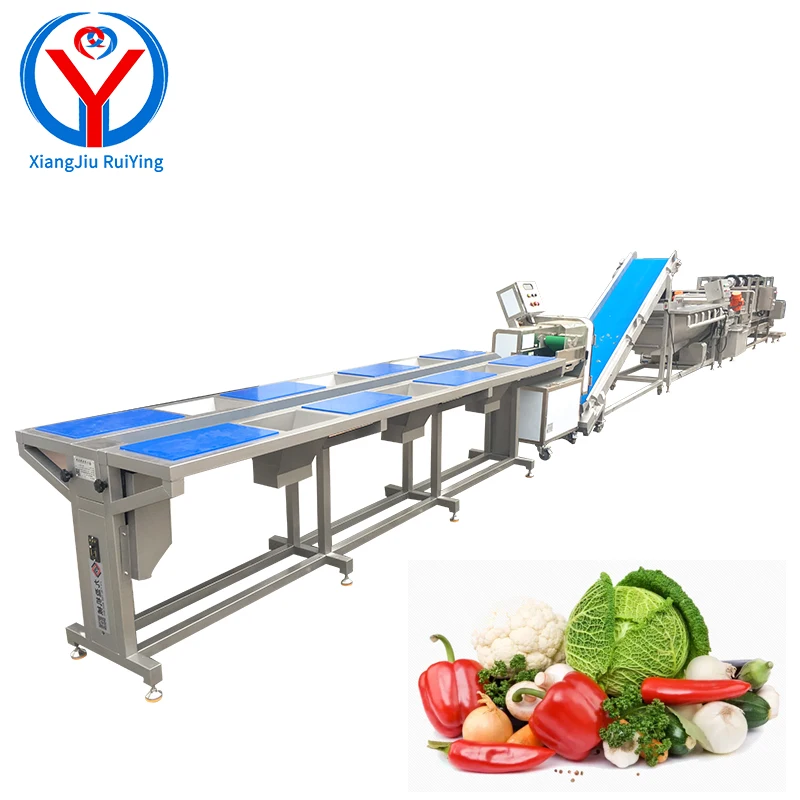 Automatic Vegetable Processing Line - Efficient & Durable