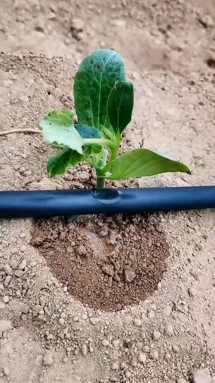 Pc Drip Tape 16mm Hose Farm Irrigation System Drip For Agriculture ...