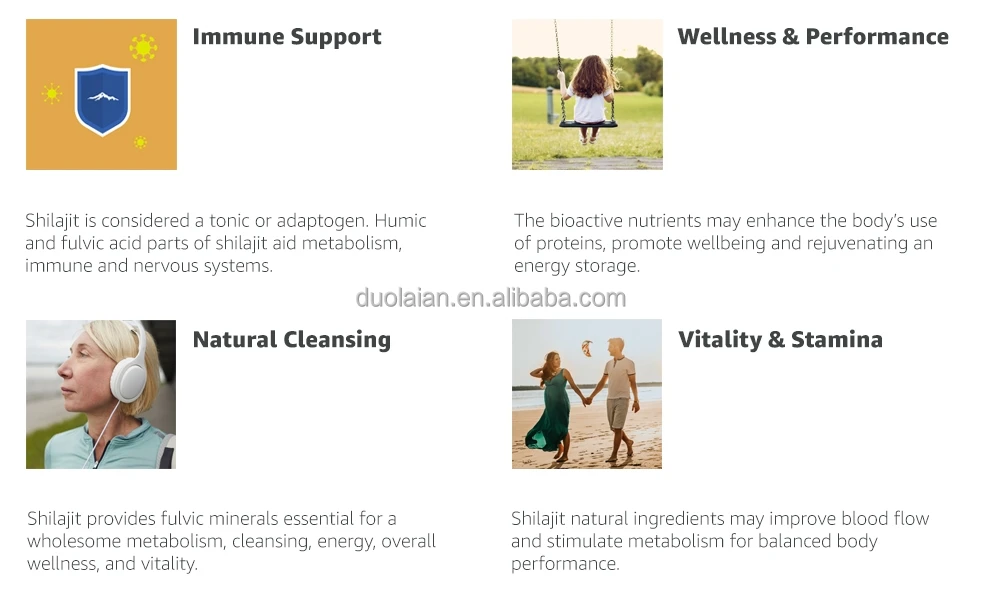 Pure Shilajit Tablets Capsules Organic Supplement Naturel Shilajit ...